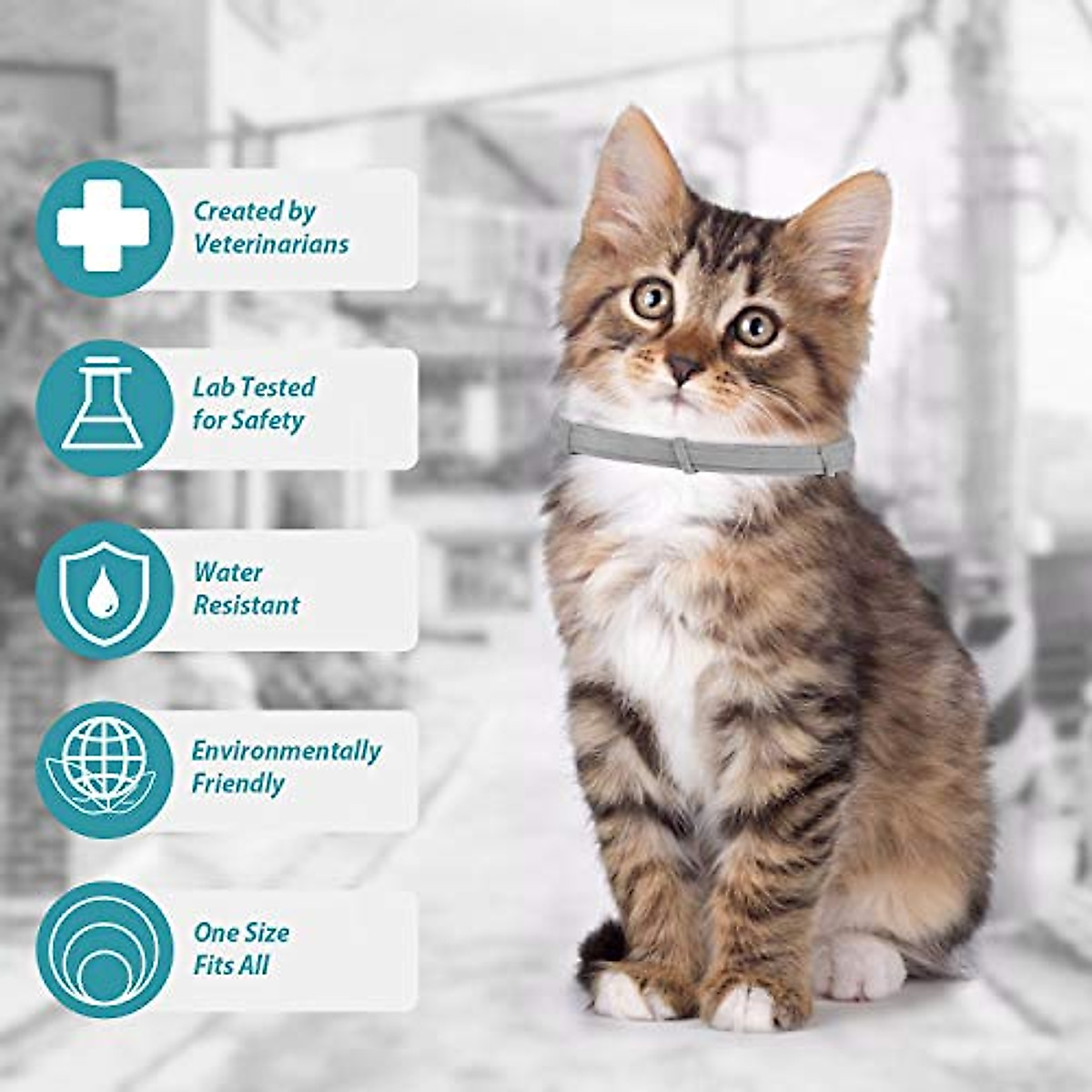 Flea and Tick Collar for Cats,8 Month Flea and Tick Treatment and Prevention for All Sizs Cats,Adjustable and Waterproof,100% Natural Ingredients,Include Tick Removal Tools,2 Pack