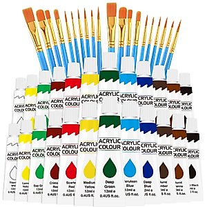 2 Pack Acrylic Paint Set 12 Colors,20 Paint Brushes,24 Paints for Adults,Kids,Beginner,Professional Artists,Non-Toxic Craft Paint kit for Paper,Canvas,Rock,Wood,Ceramic,Fabric Vibran
