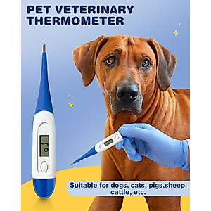 Huimpet 52Pcs Puppy Whelping Kit, Newborn Pets Whelping Supplies with 4 Puppy Feeding Tube,15 Puppy Whelping Collars, 15 Cord Clamps, 2 Gloves, Digital Thermometer, Stethoscope and More