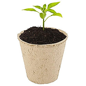 IAXSEE 100 Pack Peat Pots, Nursery Pots 3.15 Inch Starting Planter