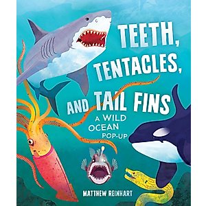 Teeth, Tentacles, and Tail Fins (Reinhart Pop-Up Studio): A Wild Ocean Pop-Up (Reinhart Studios) (Ocean Book for Kids, Shark Book for Kids, Nature Book for Kids)