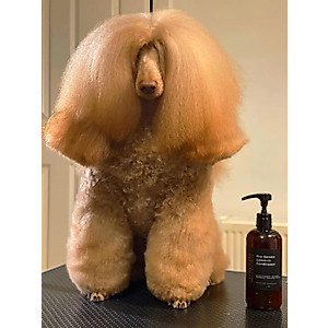 iGroom Pro-Keratin Leave-in Dog Conditioner, Luxury Pet Beauty Care, Keratin Treatment, Excellent Detangling, Made in USA, 16 oz