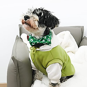 MACA Bates St. Patrick's Day Dog Collar with Bow/Flower/Bow tie, Clover Adjustable Collar for Small Medium Large Dog with Metal Buckle