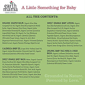 Earth Mama A Little Something for Baby Gift Set Safe Skin Care Essentials for Newborn Baby Shower, 5-Piece Set (Packaging May Vary)
