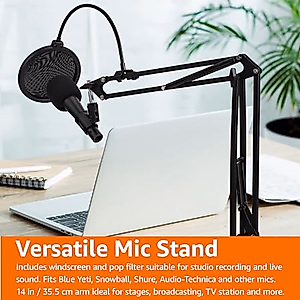 Amazon Basics Heavy-Duty Microphone Desk Arm Stand All-in-One Kit, with Adjustable Boom, Pop Filter, and Windscreen, for Blue Yeti, Snowball, Shure, Audio-Technica, and other Mics - 14 inch