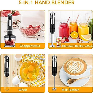 Handheld Blender, Immersion Electric Mixer, 5-in-1 Hand Blender, 800W Powerful Copper Motor, 12 Speed Turbo Mode, 20oz Beaker, 17oz Food Chopper for Smoothies, Whisk for Home Kitchen