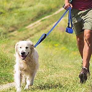 EXCELLENT ELITE SPANKER Strong Durable Nylon Dog Training Leash Traction Rope 5 Feet Long 3/4" Wide with Poop Bag Holder for Small Dogs(Purple)
