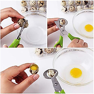 Calary 3Pcs Quail Egg Cutter Scissors Kitchen Egg Shears Tool (Green)