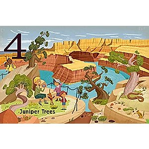 Trees: A Count and Find Primer (BabyLit)