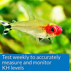 API CARBONATE HARDNESS TEST KIT Aquarium Water Test Kit