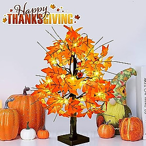 [ 2 Pack & Timer ] 24 Inch Lighted Maple Tree Fall Decorations with 48 LEDs Timer Battery Operated Artificial Autumn Tabletop Tree for Thanksgiving Harvest Indoor Home Decor