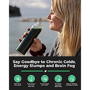 SUPERGREEN TONIK 100% Natural Greens Superfood Powder – Daily Supplement with 38 Superfoods, Vitamins and Minerals – Supports Energy, Stress, Sleep, Immunity – 30 Days 378 Grams Berry Flavor (1 Tub)