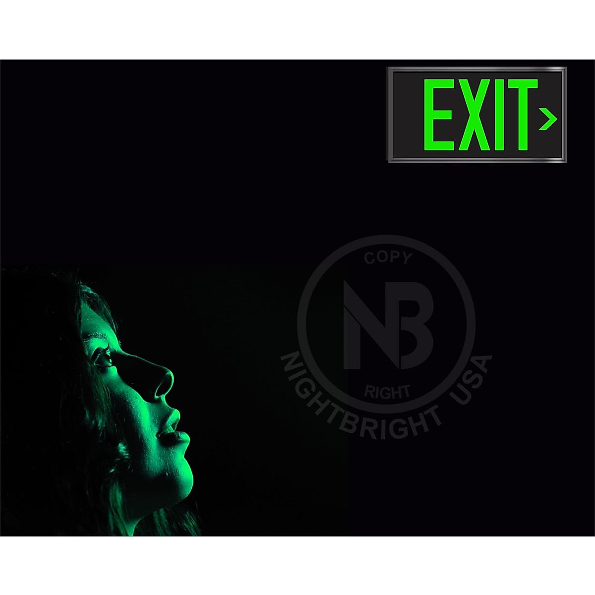 Photoluminescent Exit Sign Red - Framed Flat Wall Mount. UL 924 Code Approved/IBC/NFPA 101/Item: FRUL-050-R