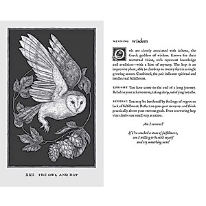 Woodland Wardens: A 52-Card Oracle Deck & Guidebook