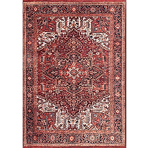 nuLOOM Shantelle Transitional Area Rug, 9 ft x 12 ft, Brick