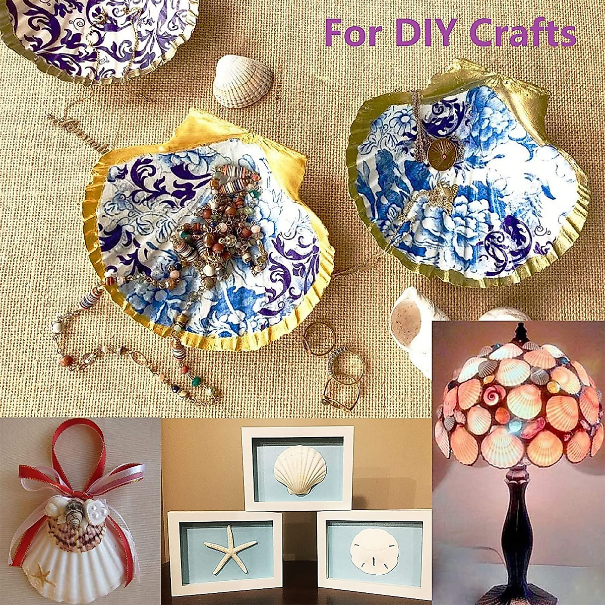 QICQDRAM 25PCS Sea Shells for Crafts Decoration 2''-3'' White Scallop Shells, for Crafts DIY Painting Beaching Wedding Decoration, Beach Natural Scallop Shells Bulk