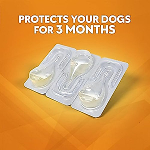 ZoGuard Plus Flea and Tick Prevention for Small Dogs - Flea and Tick Prevention for Dogs 5-22lbs (3 Doses)