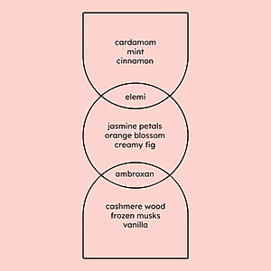 Boy Smells Holiday Smells Scented Candle for Men and Women, Coconut, Beeswax, & Soy Candle Blend, Aromatherapy Candles for Home, 8.5 oz