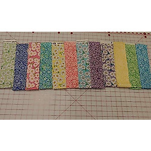 Jelly Roll Strips - Rainbow Colors 24 strips!