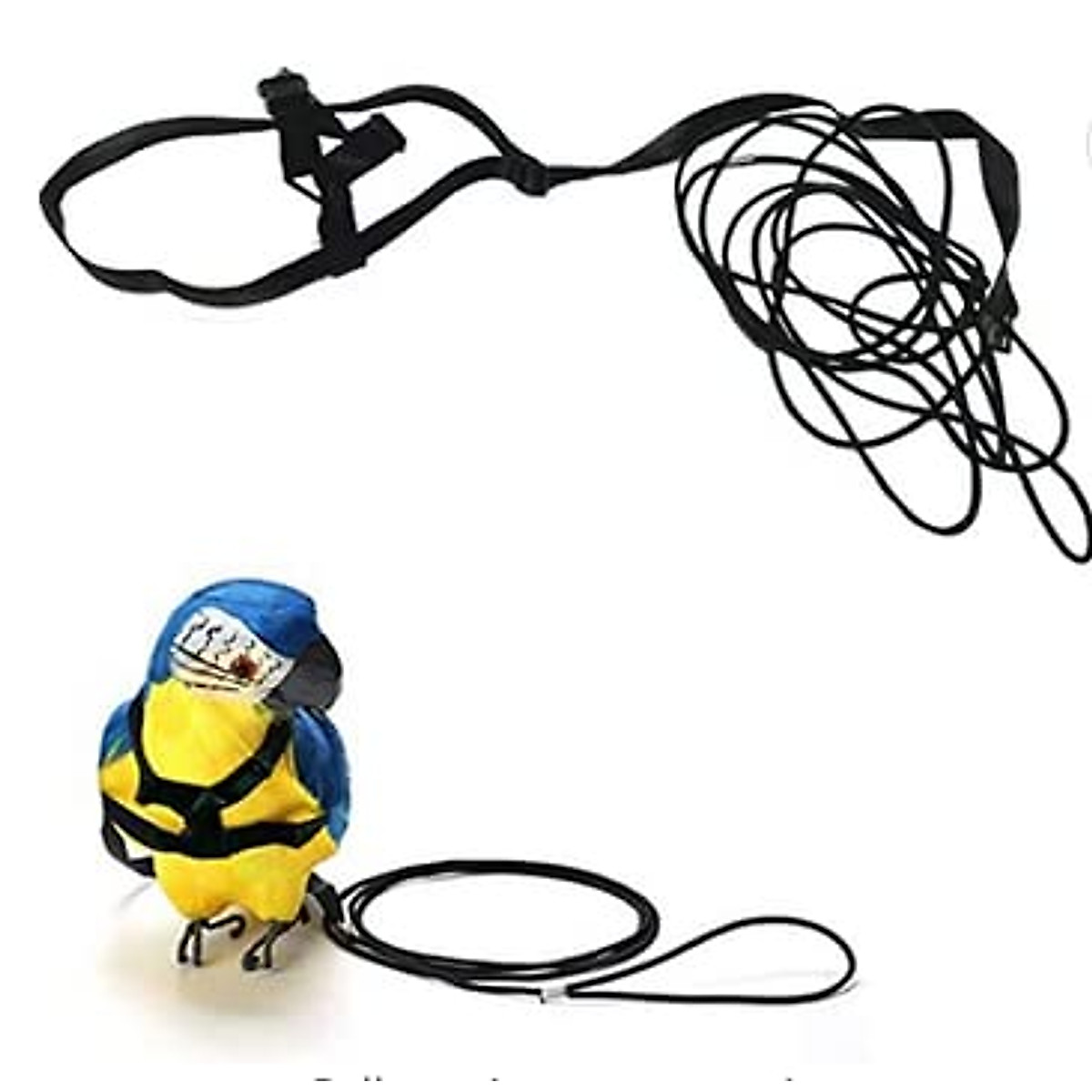 ASOCEA Bird Parrot Harness Leash Adjustable Anti-Bite Flying Training Rope Pet Outdoor Traction Lead for Budgerigar Lovebird Cockatiel Mynah Small Birds - Black