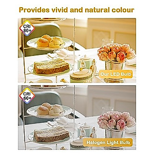 EvaStary Ceiling Fan Light Bulb E12 Candelabra Base, 3000K Warm White 60 Watt Equivalent, E12 LED Chandelier Light Bulbs, 6W 600LM Brightness G14 Mini Globe Candelabra Lighting, Non-dimmable, 6 Pack