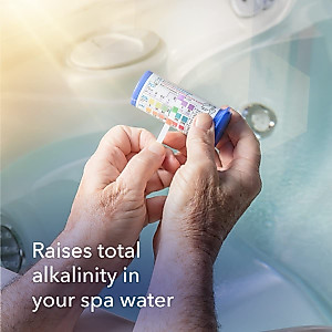 Leisure Time ALK Alkalinity Increaser Balancer for Spas and Hot Tubs, 1-Pack
