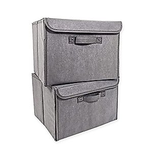 Storage Bins, Foldable Storage Cubes with Lids and Handles, Large Fabric Storage Baskets with Doule Doors Design for Clothes, Toys, Books, Closet, and Shelves etc. Storage Dark Grey (2-Pack 15.4" x 10.2" x 10.2")