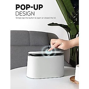MONGTINGLU Mini Trash Can with Lid - Removable Small Garbage Can, Tiny Plastic Trash Bin, Pop Up Countertop Wastebasket, Counter Garbage Lint Bin for Bathroom,Office,Kitchen,Desk,Coffee Table(White)