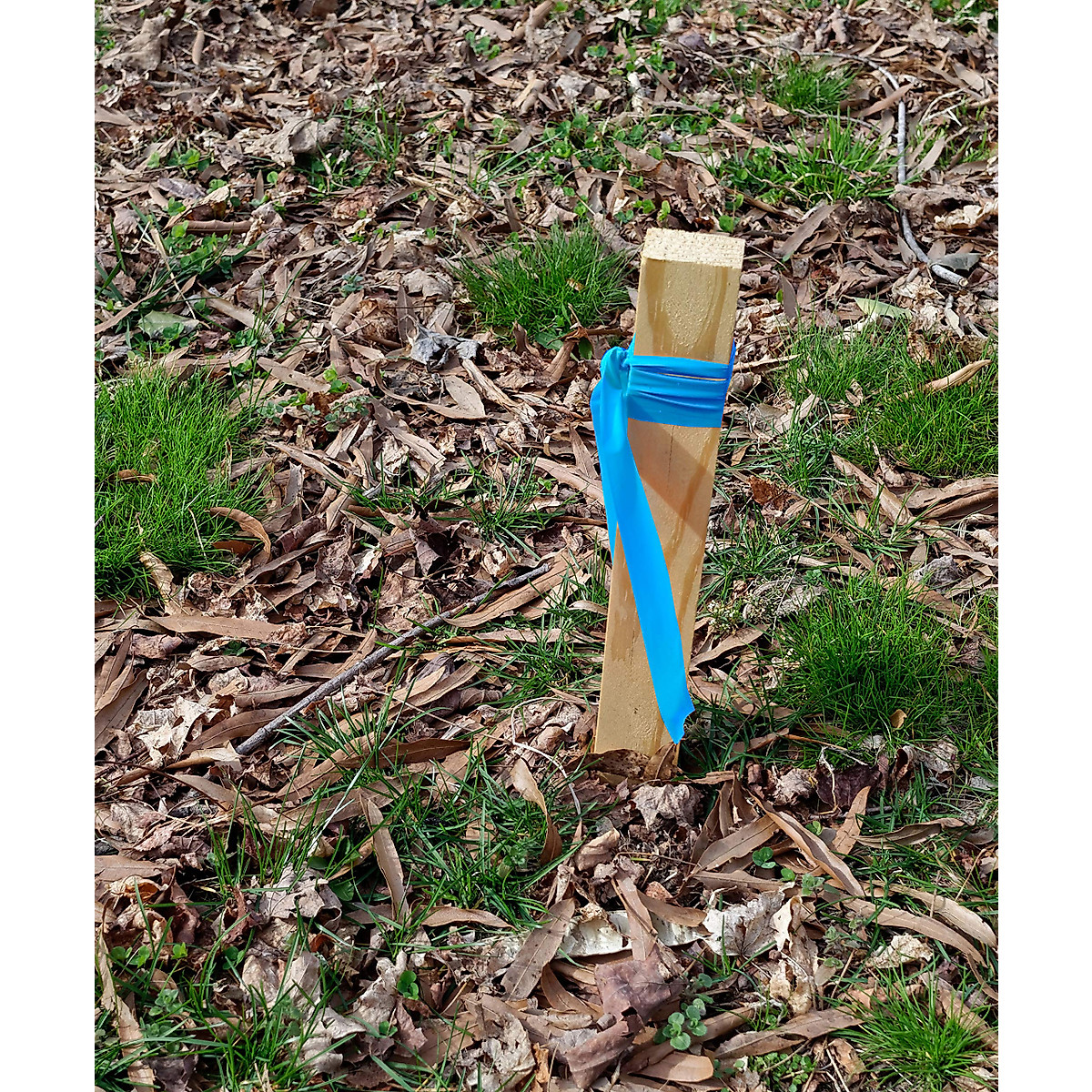 Brady Fluorescent Blue Flagging Tape for Boundaries and Hazardous Areas - Non-Adhesive Tape, 1.188" Width, 150' Length (Pack of 1) - 58351