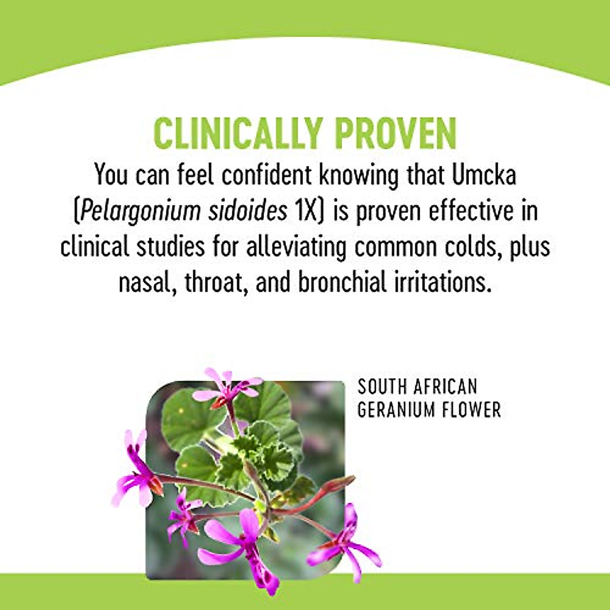 Nature's Way Umcka Allergy and Sinus Homeopathic Chewable Tablets- Cherry Flavor- 20 Count