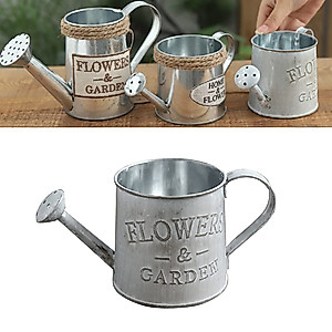 ARTIBETTER Iron Metal Jug Mental Jug Home Ornament Rustic Style Jug