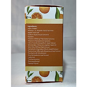 Zone - 365 Vitamin C Topical Face Serum with Hyaluronic Acid, Vitamin E, and Retinol to Remove Dark Spot - 1fl oz