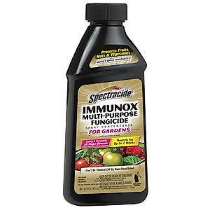 Spectracide Immunox Multi-Purpose Fungicide Spray Concentrate for Gardens, 16-oz, Fl. Oz, Pack of 6 (Total 96 Fl. Oz), Transparent