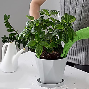 WYZGFRQS 7 Inch Plant Pots 6 Pack, Planters for Indoor Plants, Plastic Plant Pots with Drainage Holes and Saucers, Modern Flower Pots for Succulents, Snake Plant, African Violet, and Cactus