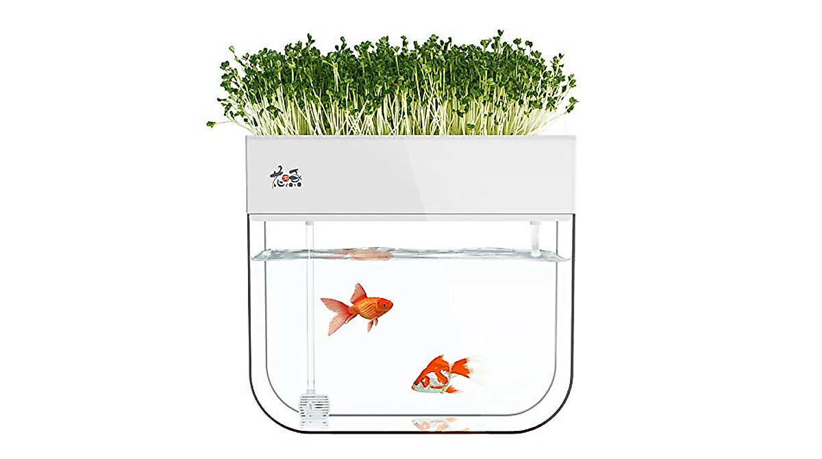 Hydroponic Aquaponic Fish Tank System - Self-Cleaning Indoor Garden