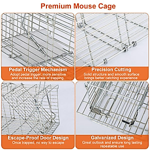 KOCASO Humane Live Rat Trap Foldable Live Animal Trap Humane Foldable Rat Trap Cage W/Detachable L Shaped Rod Squirrel Trap Galvanized Iron Mice Mouse Cage/Small Groundhog Control Bait Catch