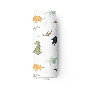 Aenne Baby Muslin Baby Swaddle Blanket Dinosaur Dino Print, Luxurious, Soft and Silky, 70% Bamboo 30% Cotton 47x47inch (1pack), Baby boy Nursing Cover, wrap, Burp Cloth