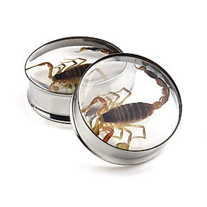 Awinrel Ear Gauges Plugs Genuine Scorpion Inlay Stainless Steel Double Flare Tunnels Stretching Expander Body Piercing Jewelry 2 Pieces 1" 25mm