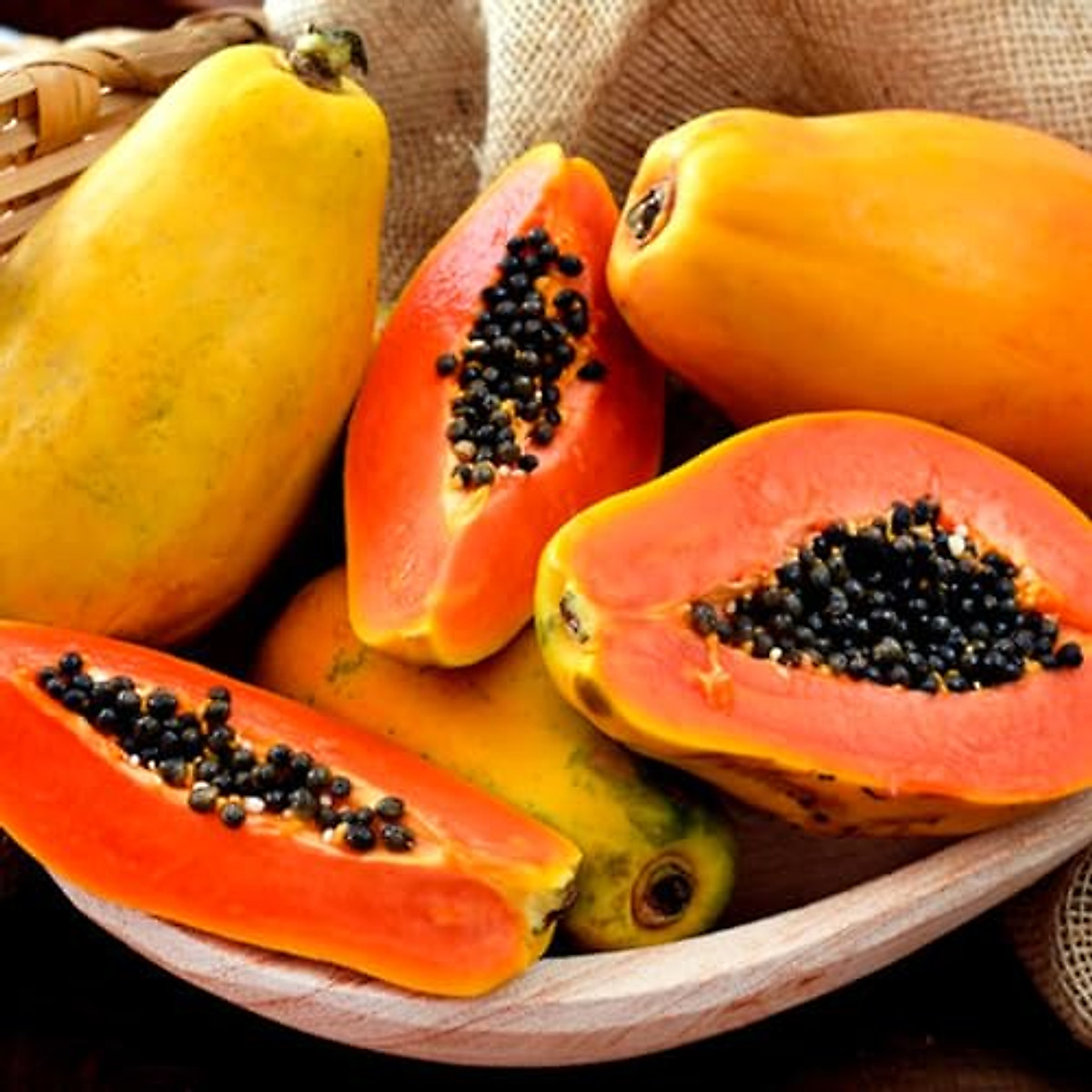10 Dwarf Papaya Tree Seeds Sweet and Tasty and Juicy Easy to Grow Non-GMO Heirloom Organic Fruit Seeds to Plant Home Outdoor Garden