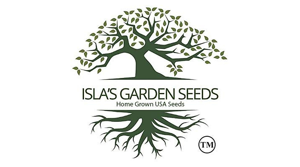 Baby's Breath Seeds - 2000+ Heirloom Non-GMO Flower Seeds | Isla's Garden