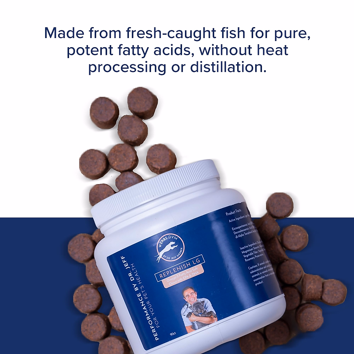 Dr. Jeff Werber Replenish Omega 3 Fatty Acid Chew for Pets & Dogs - Soft Fish Oil Chews with Natural Ingredients for Boosting Immune System and Regulating Inflammatory Response - 60 ct. (Small/Medium)