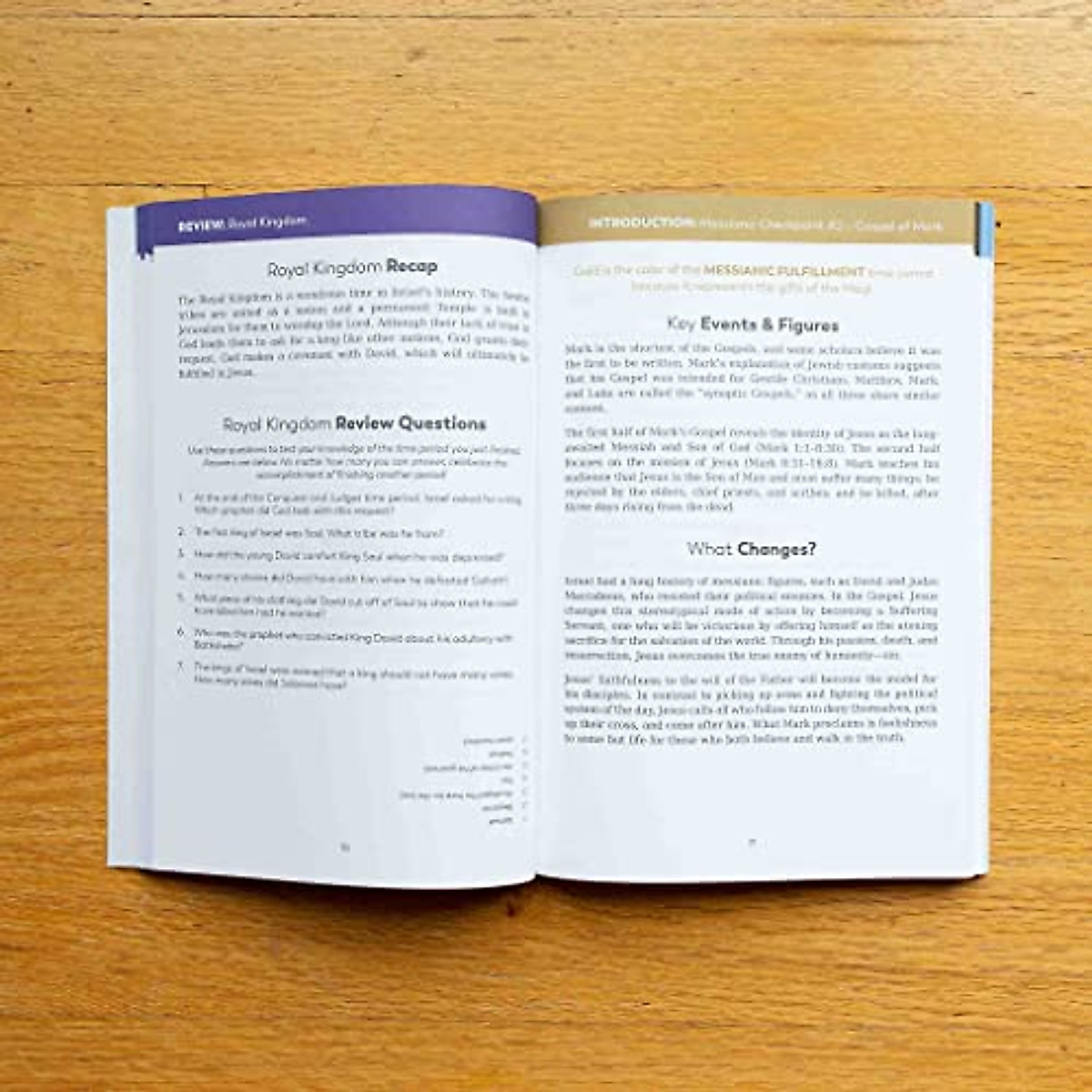 The Bible in a Year Companion, Volume II (Bible in a Year Companion, 2)