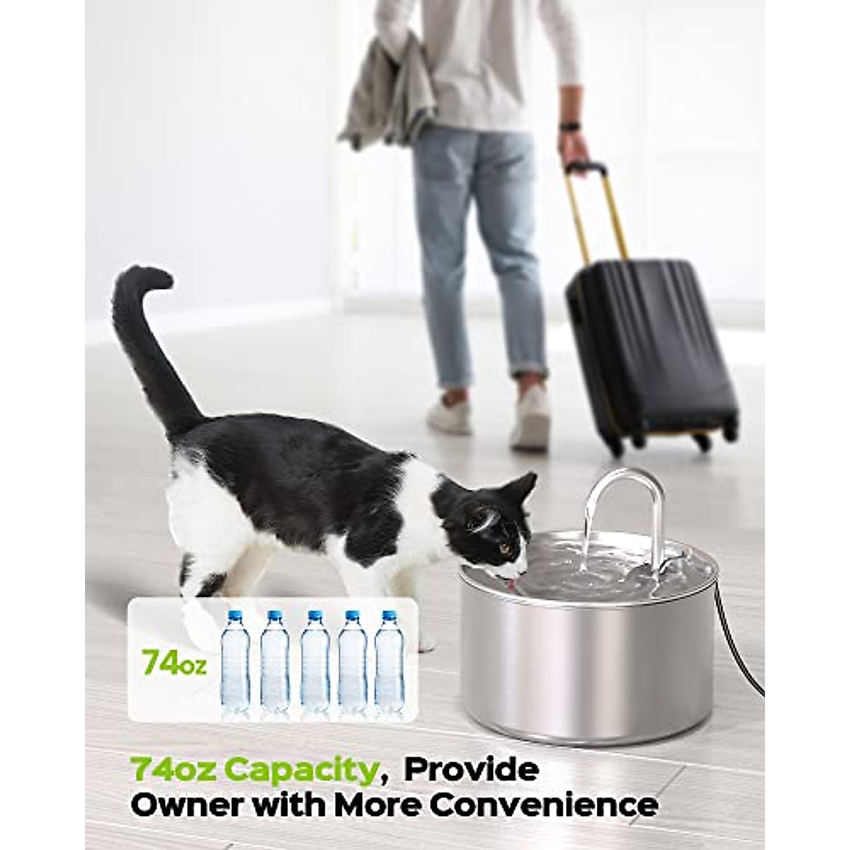 AOOGITF Cat Water Fountain, 304 Stainless Steel Pet Water Fountain, 24/7 Keep The Water Fresh, 74oz Capacity, Ultra-Quiet, No Sputter, Compact, Easy Cleaning, Suit for Pets