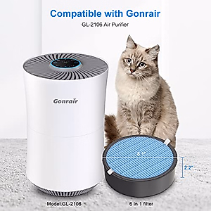 Gonrair 2PACK GL-2106 Air Purifier Filter Replacement GL-2106 Series Air Purifier H13 HEPA 6 Layers Filter