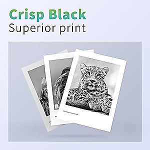 myCartridge PHOEVER Compatible Ink Cartridge Replacement for Canon 245XL 246XL for Canon Pixma MX490 MX492 MG2522 MG2520 TS3122 MG3020 IP2820 Printer Ink Cartridges (1 Black, 1 Color)