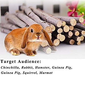 500g Organic Apple Sticks for Rabbits Wood Tree Branches Pet Snacks Chew Toys Branch for Guinea Pigs Chinchilla Squirrel Bunny Hamster Small Animals Teeth Grinding
