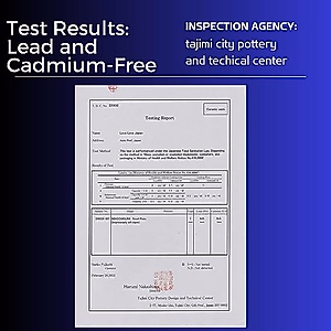 LOVE LOVE JAPAN Dessert Sushi Soy Sauce Salad Small Plate Set Ceramic Cats Design Set of 5 Made In Japan Sleeping Cat