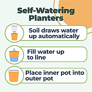 Window Garden Sow Much Fun Seed Starting, Vegetable Planting and Growing Kit for Kids, 3 Self Watering Planters, Soil, Seeds and Puffy Stickers. No Mess, Easy, Works Great! (Pumpkin)