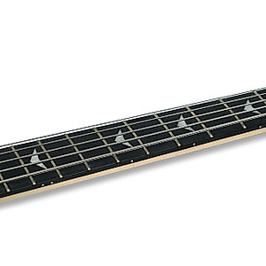 Tario Black Left-handed 5 String Electric Bass, Bolt-on Maple Neck, Poplar Body