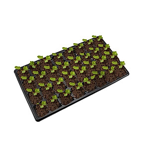 2 Sets 32 Cell Seed Starter Tray Plant Kit Extra Strength Starting Trays for Planting Seedlings, Propagation, Germination Plugs Seedling Planting Insert Plug Tray 2 of Each Cell Tray